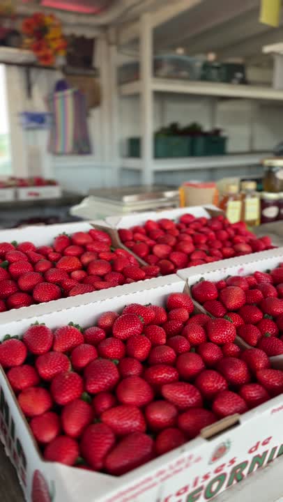 Madison St. Produce Web